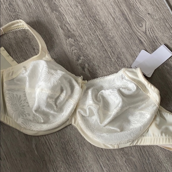 Aviana | Intimates & Sleepwear | Aviana Plus Size Underwire Bra Ivory ...